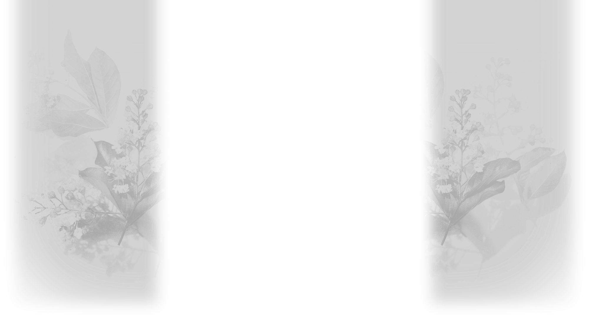 Torn Stats - Torn Backdrops